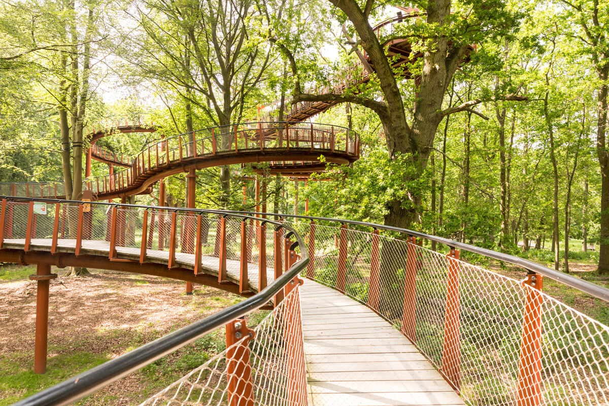 Ivenacker Eichen - Wald-MV